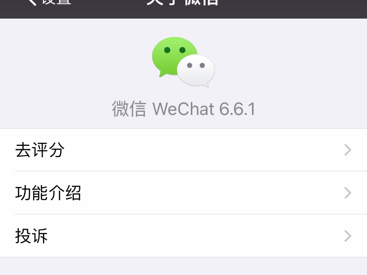 成功下载微信6.6.1了,系统是16.6