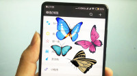 教你手机锁屏时设置一群蝴蝶, 有人动你微信, 蝴蝶就飞出来!