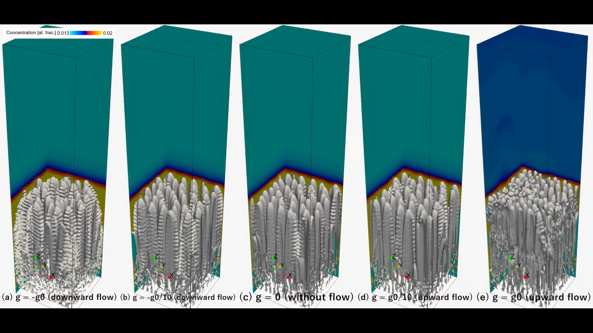 金属定向凝固过程相场法模拟3D视图