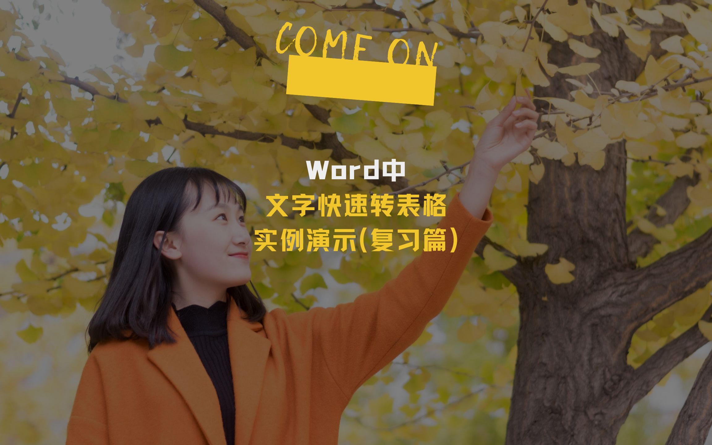 Word中文字快速转表格的实例演示(复习篇)