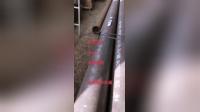 标志杆采用热轧无缝钢管制作#沧州博华交通