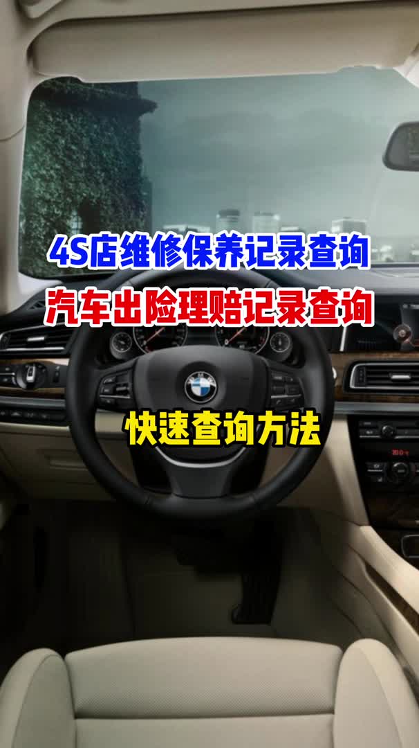 ...维保记录,车辆历史4S店维修保养记录如何查询,怎么查是不是调表车