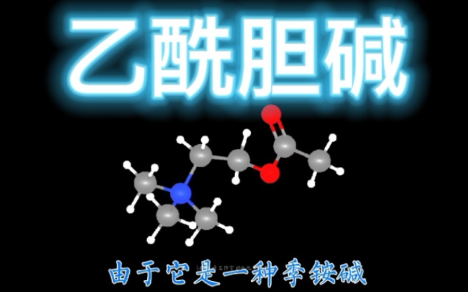 重要神经递质:乙酰胆碱