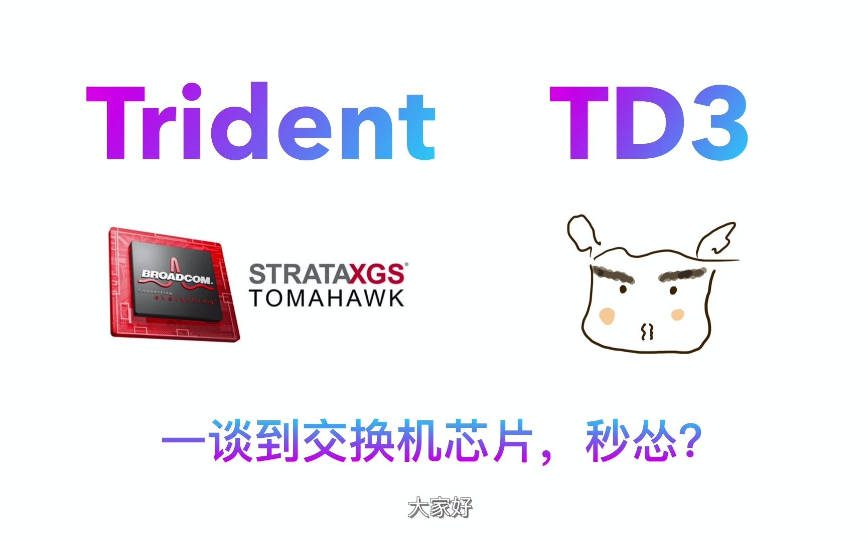 不懂网络芯片秒怂? 航家带你提逼格 | #1 博通Trident芯片系列