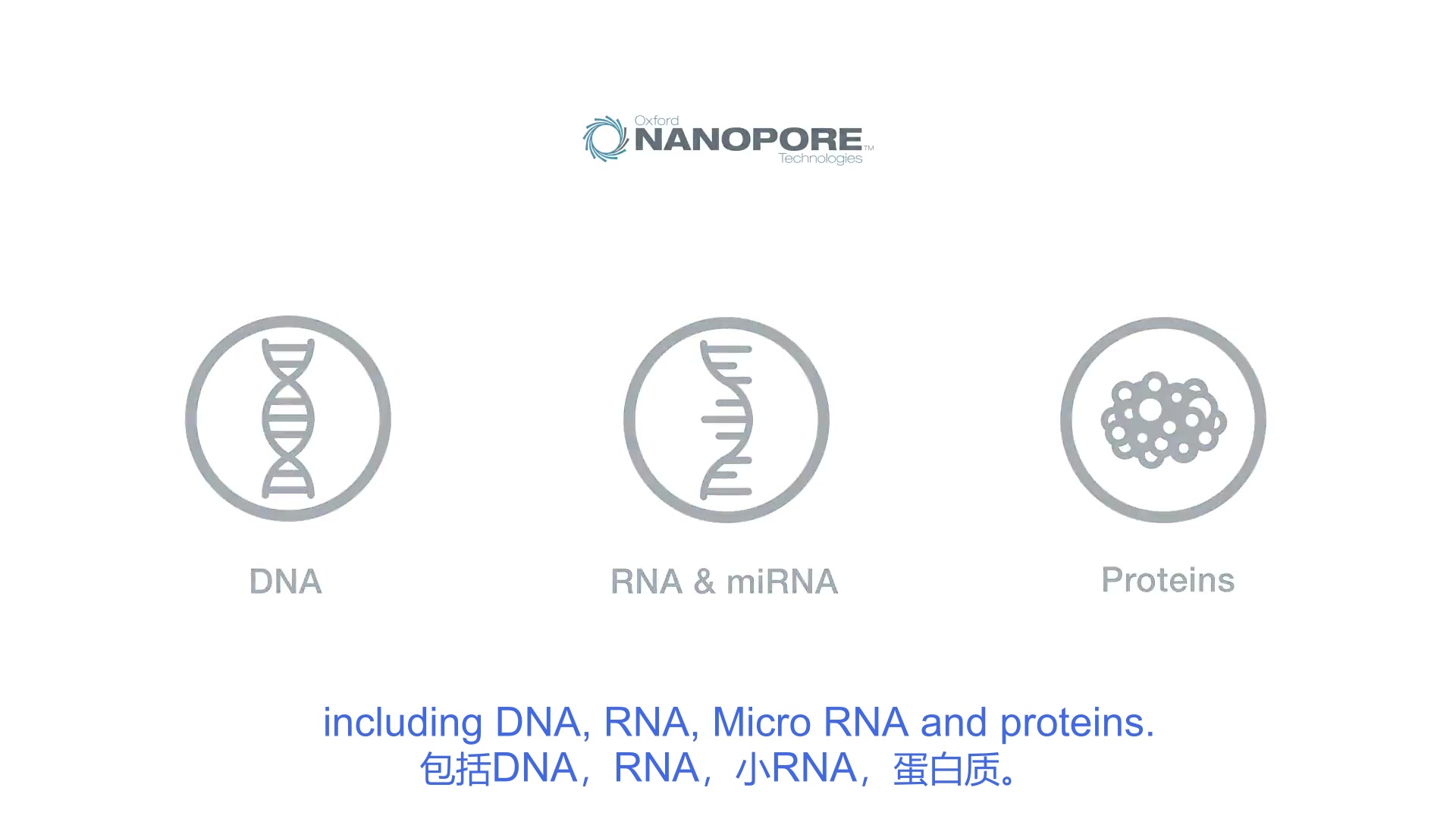 【第三代测序】oxford nanopore 牛津纳米孔测序原理