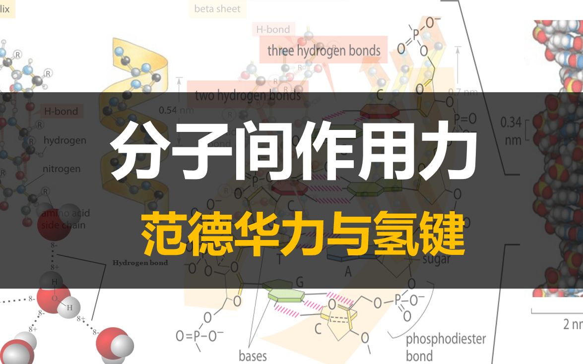 【物质结构与性质】分子间作用力-氢键与范德华力