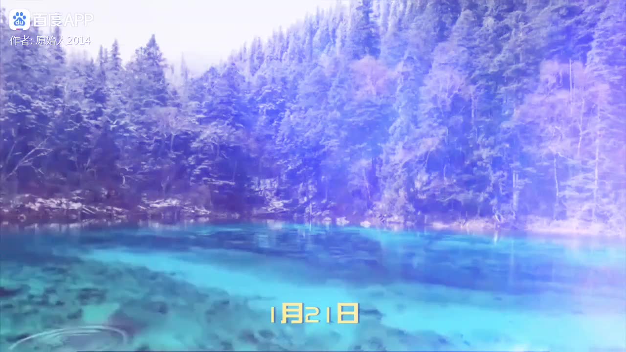 网友在九寨沟拍到“不明生物”,景区回应#保护动物 #保护生态环境 #...