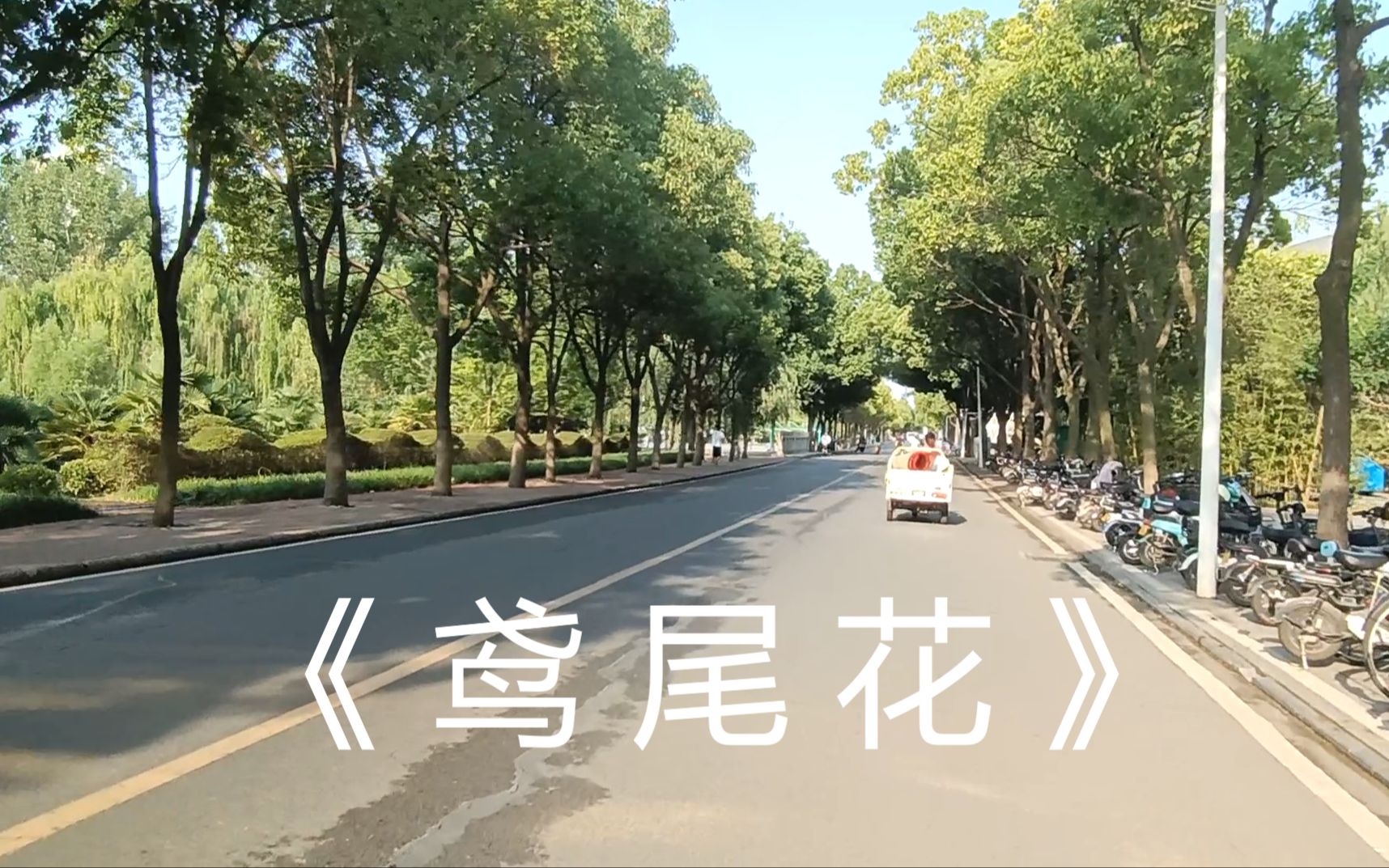 “追寻着梦的光 前路定会明亮”