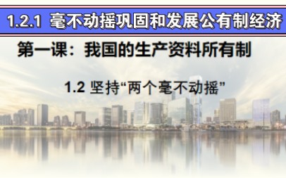高中政治必修二《经济与社会》1.2.1 毫不动摇巩固和发展公有制经济