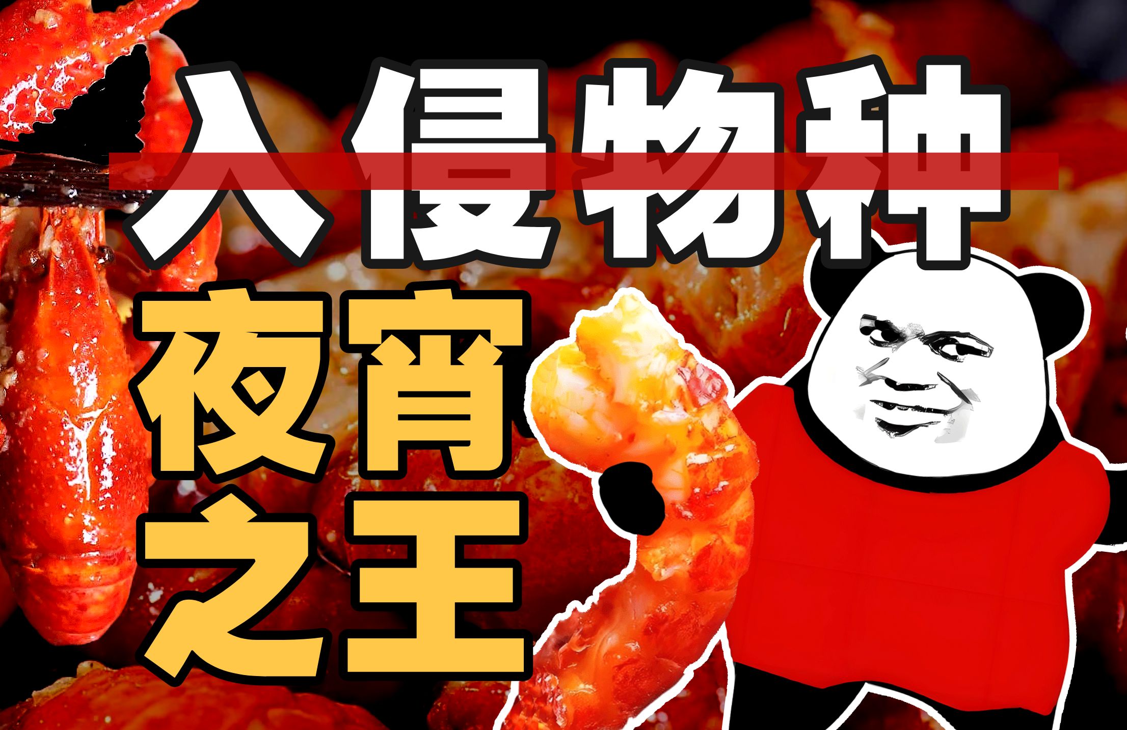 从入侵物种到夜宵之王,小龙虾30年兴衰史【暗中观察338】IC实验室