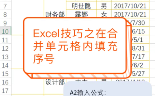 Excel技巧之在合并单元格内填充序号