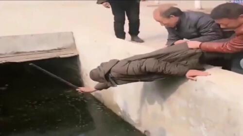 流浪狗咬伤了人,被逼掉进了水里,人们竟是拿棍棒打它