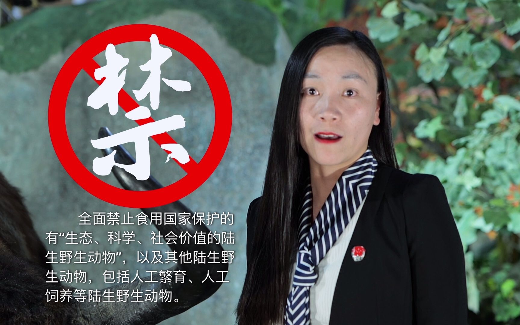 野生动物保护宣传