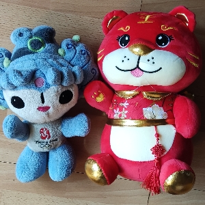 殿询一 
