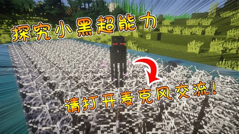 我的世界:小黑到底如何移动的瞬移还是传送,这结果意料之外!