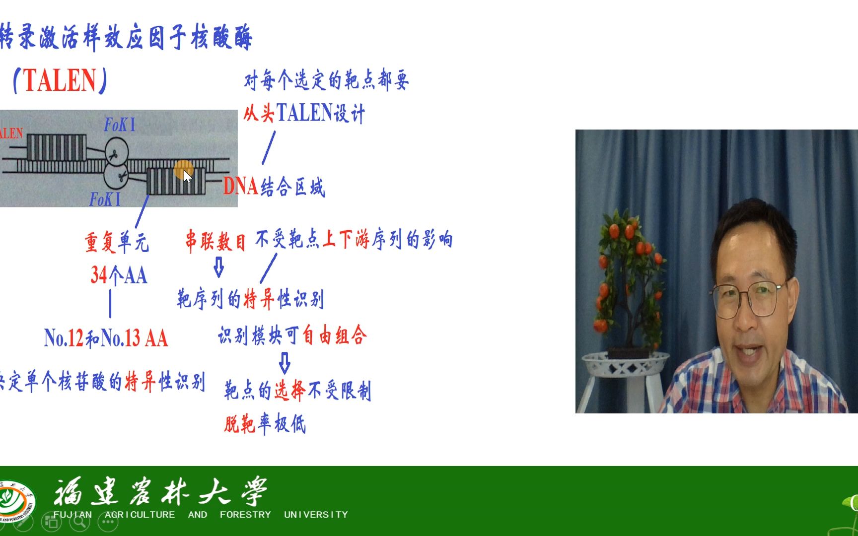 基因的表达与调控-基因工程-基因编辑-茶创2021级