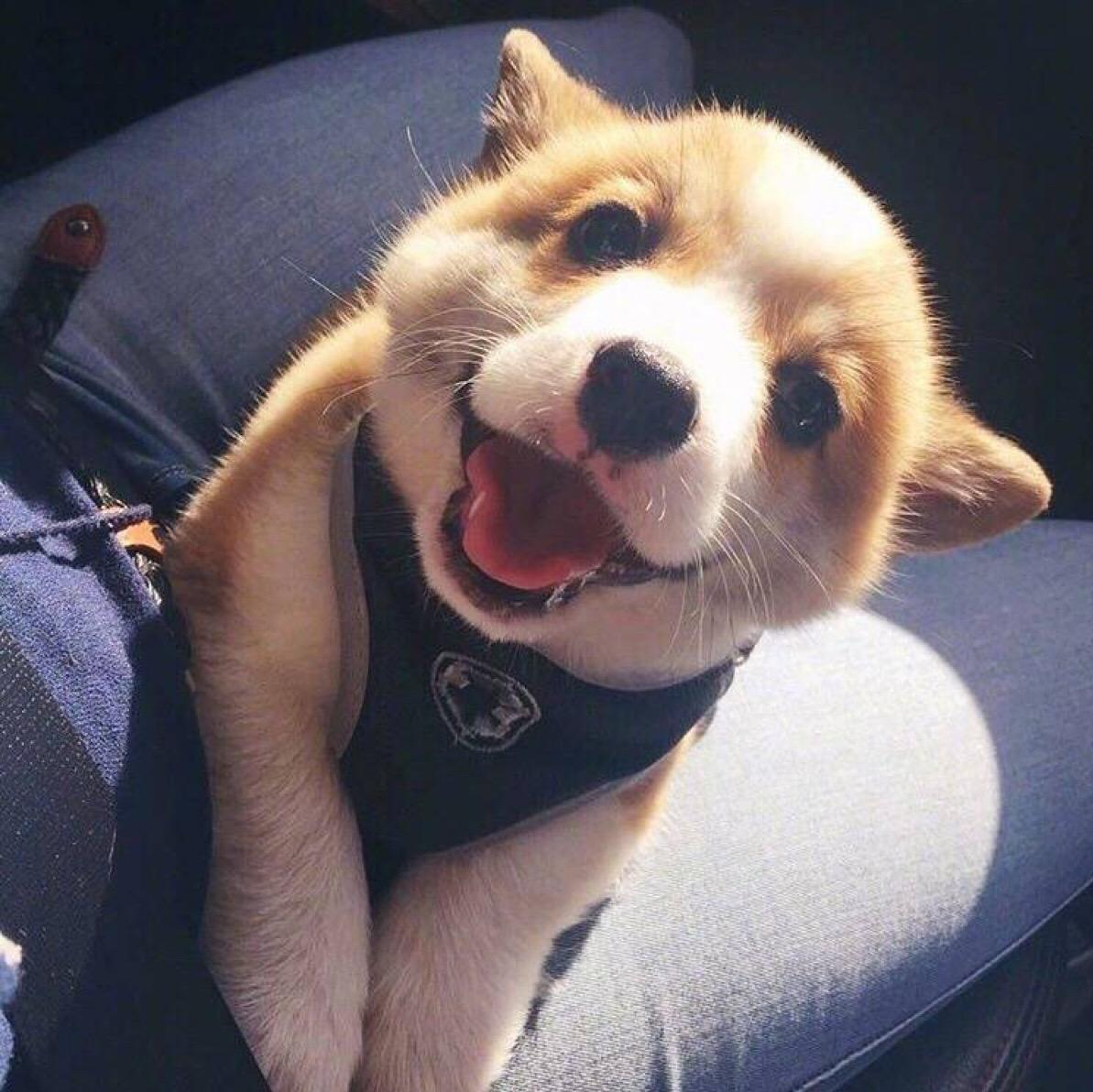 You的益达就是Me 