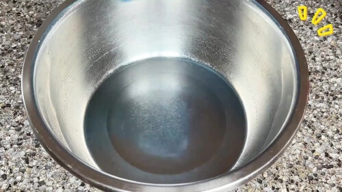 好吃到吮手指的盐焗皮皮虾做法,干香入味 (1