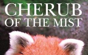 【小熊猫纪录片】Red panda - Cherub of the Mist 迷雾中的小天使【...