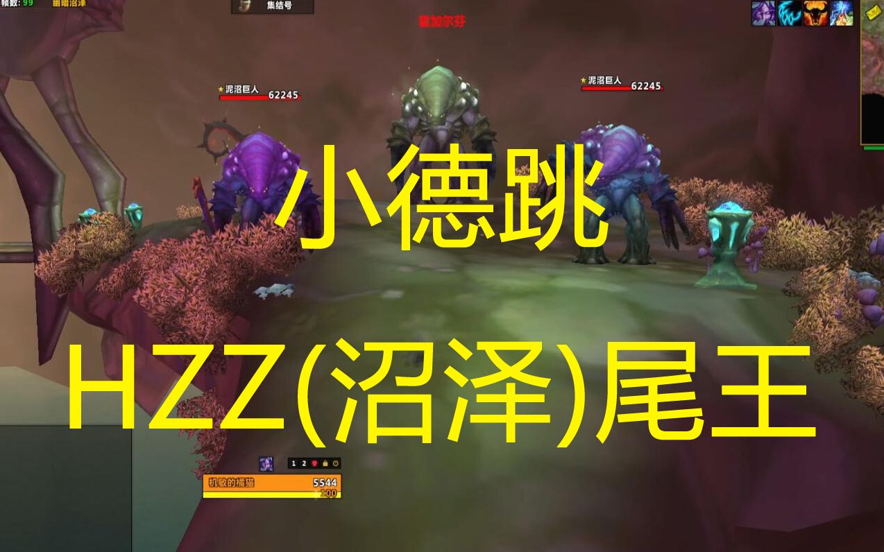 魔兽世界TBC-小德跳HZZ(沼泽)尾王简单的流程.无灵魂石,无...