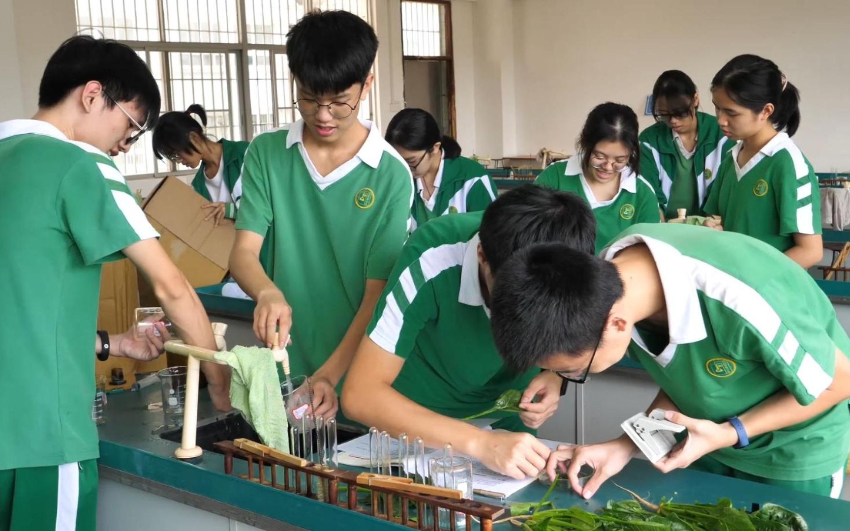 【课堂教学】探究环境因素对光合作用强度的影响