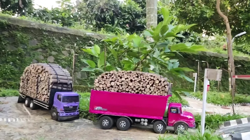 运输木材进城(三) rc遥控车 rc模型 rc