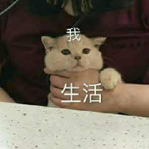 啊彬的DIY日常 