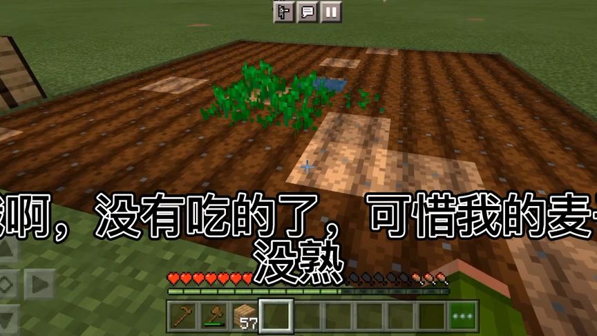 MC小课堂3前期生存用了这个超实用小技巧,再也不用担心没吃的了