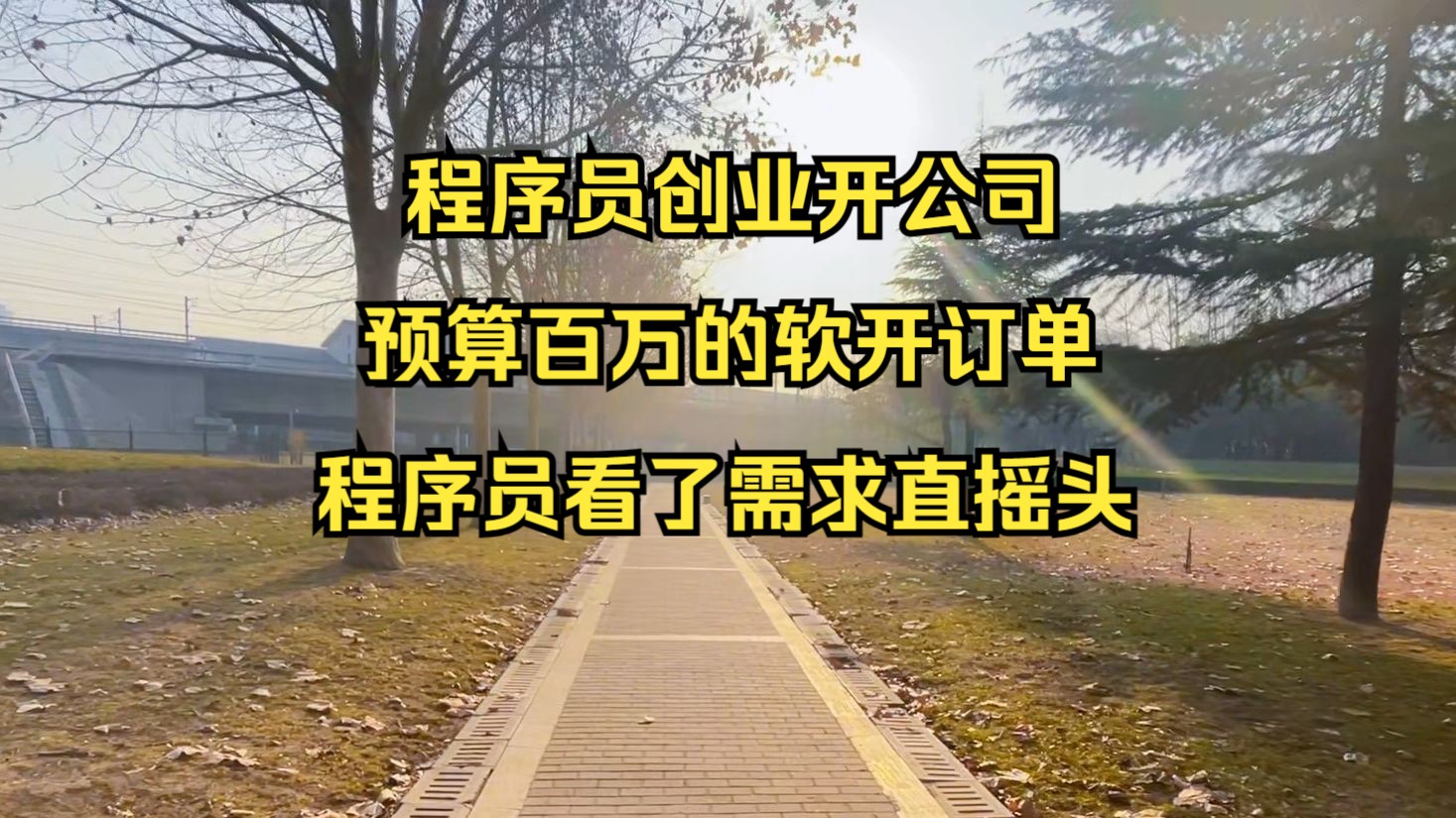 程序员创业开公司,预算百万的软开订单无人接,程序员看了需求直摇头