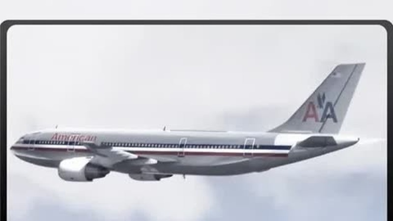 副驾的迷惑操作! 纪录片 空中浩劫 空难 飞机