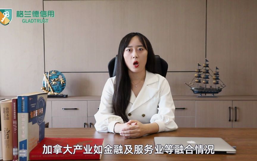 加拿大外贸风险防范:通过企业信用报告调查企业情况,有效预防、监控...