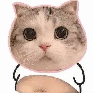 月儿呱呱 