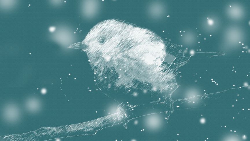 PS教程/静态雪景效果不喜欢?点进来教你快速制作下雪动画效果!