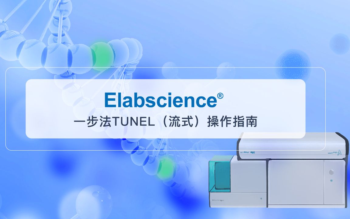 Elabscience_一步法TUNEL流式凋亡检测实验操作指南
