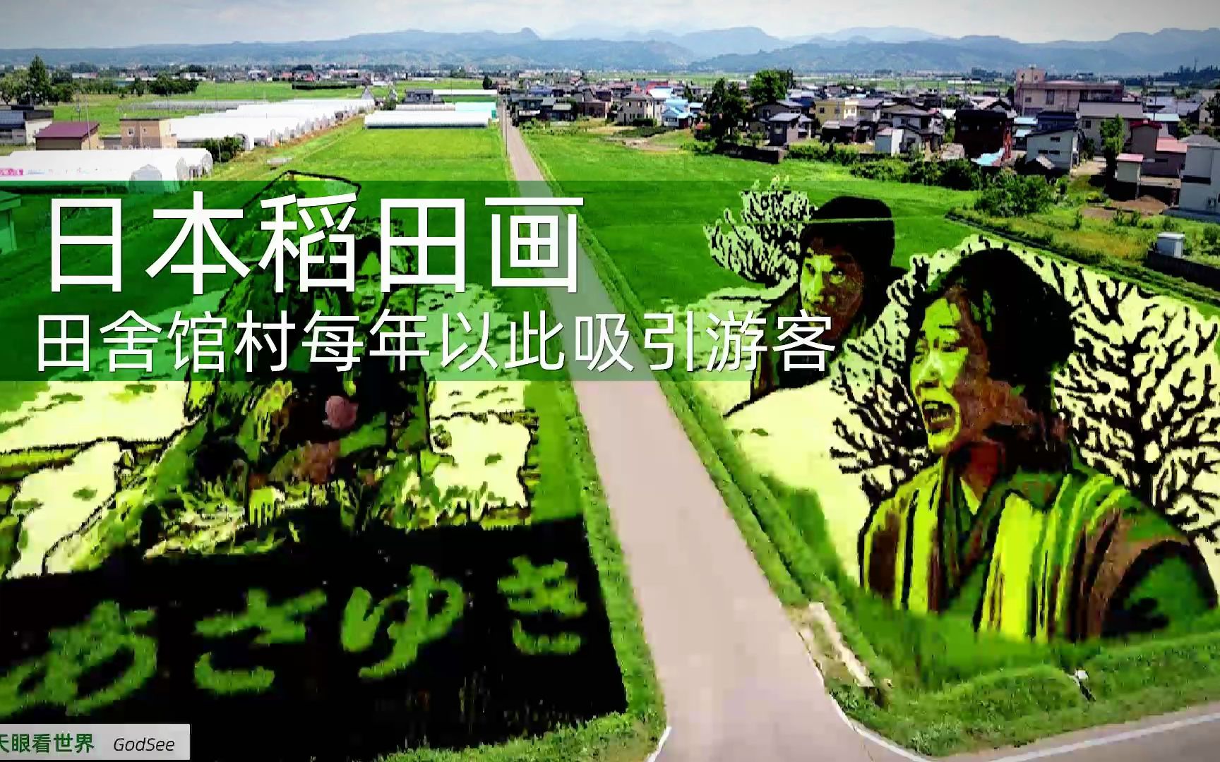 “稻田艺术节”日本农民通过不同品种水稻作画