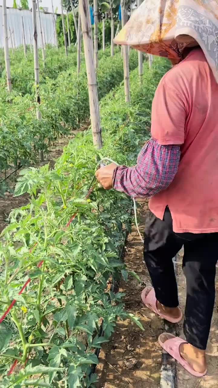 农用授粉器#授粉神器