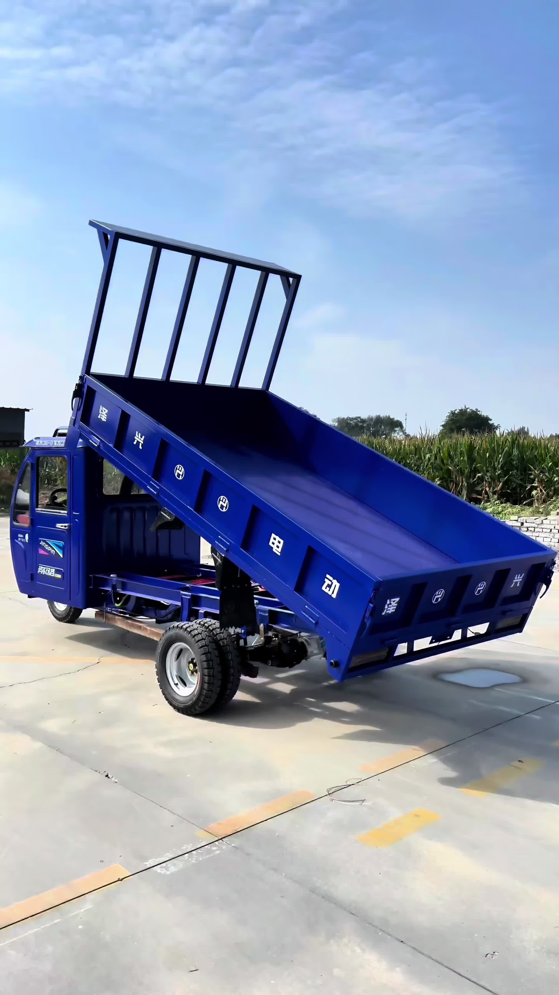 重载后双轮电动拉货专用锂电电池三轮车 #农用三轮车 #农村 #拉货...