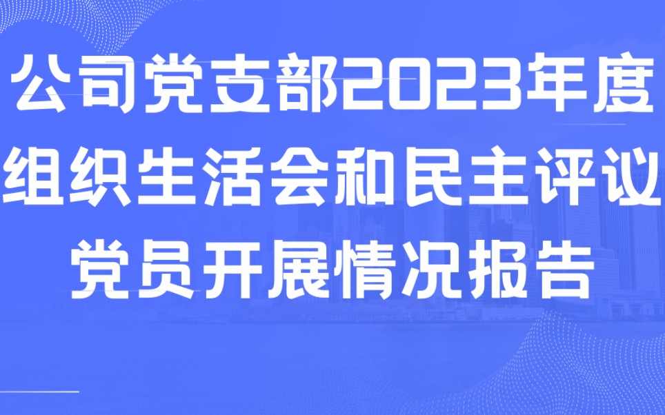 公司党支部2023年度组织生活会和民主评议党员开展情况报告