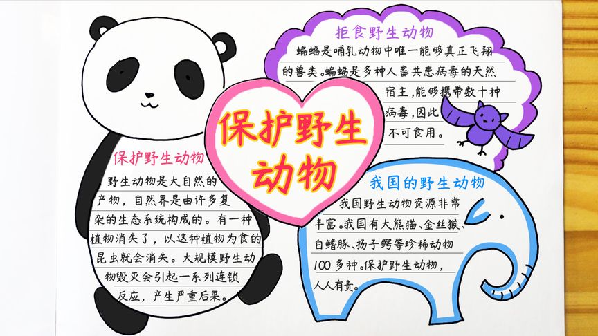 保护野生动物,我们在行动!一起学画保护野生动物手抄报