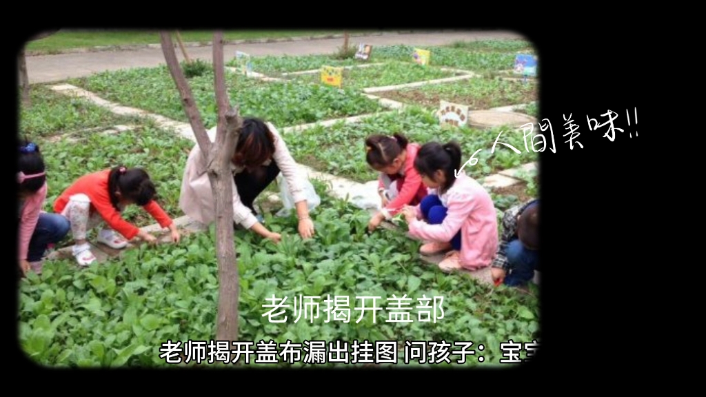 每日一学19-20个月宝宝的早教智能发展活动设计4-2