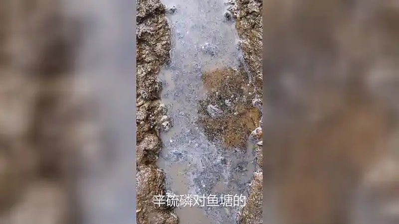 辛硫磷对鱼塘的鱼有影响吗