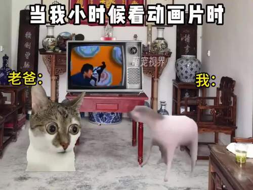 小时候我追动画,现在看动画有啥不同?