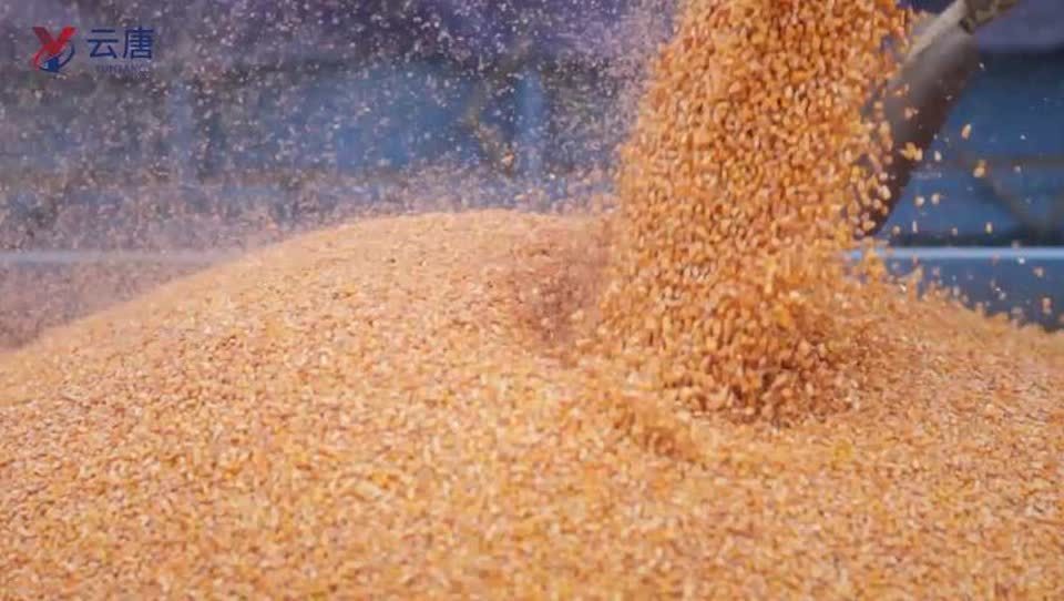 谷物粮食水分测量仪在哪里买到