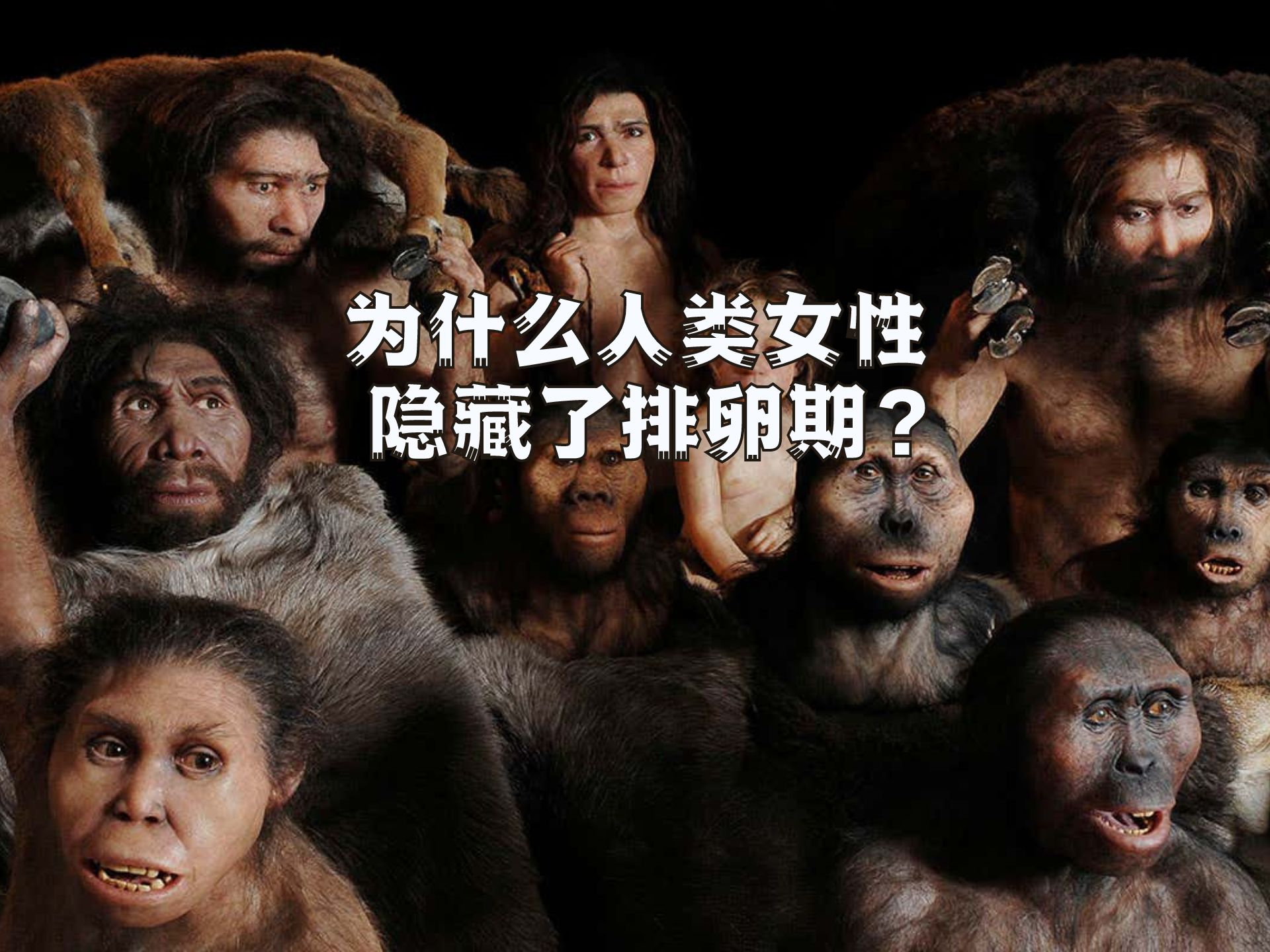 人类女性为啥隐藏排卵期?