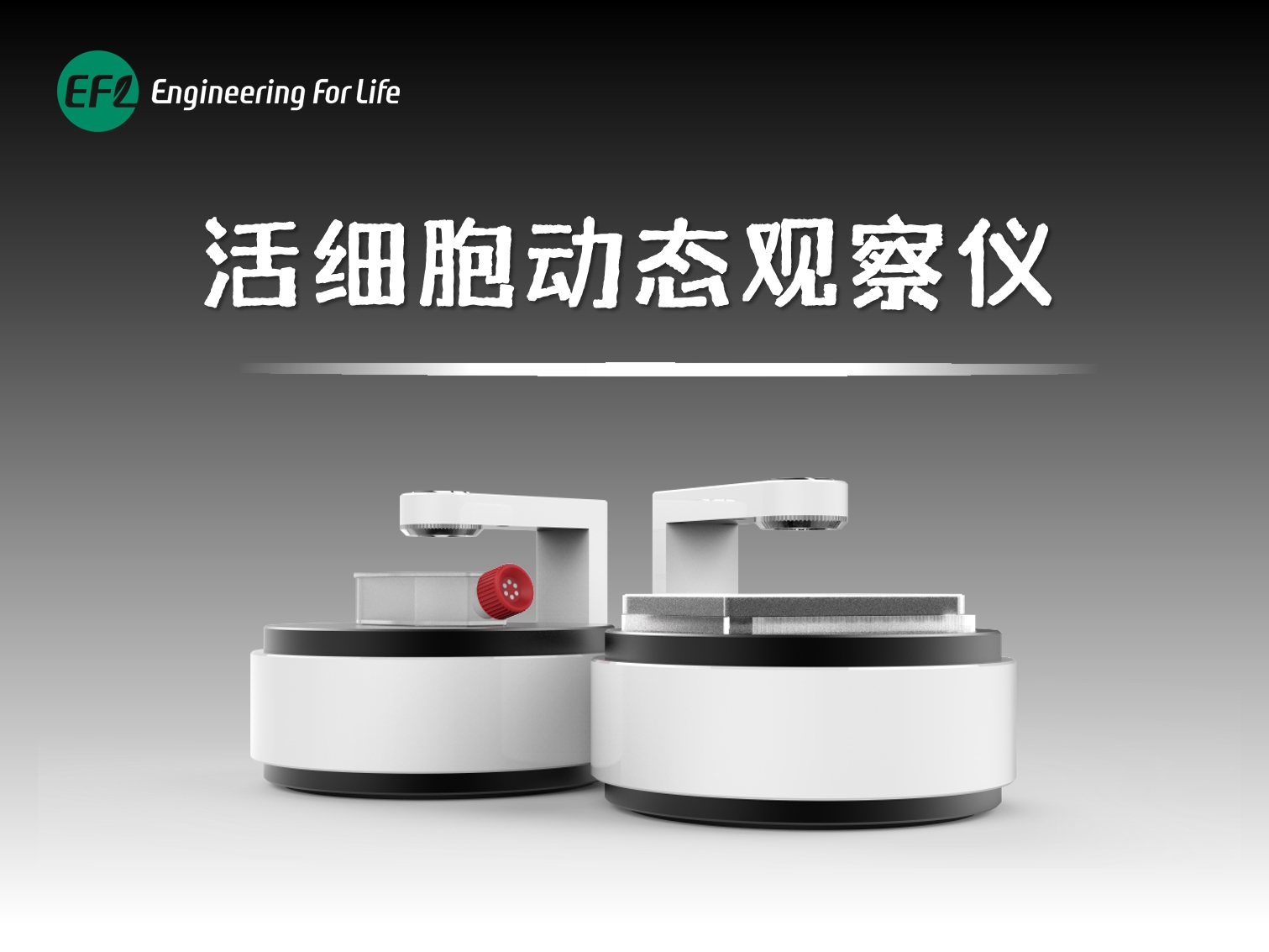 活细胞动态观察设备