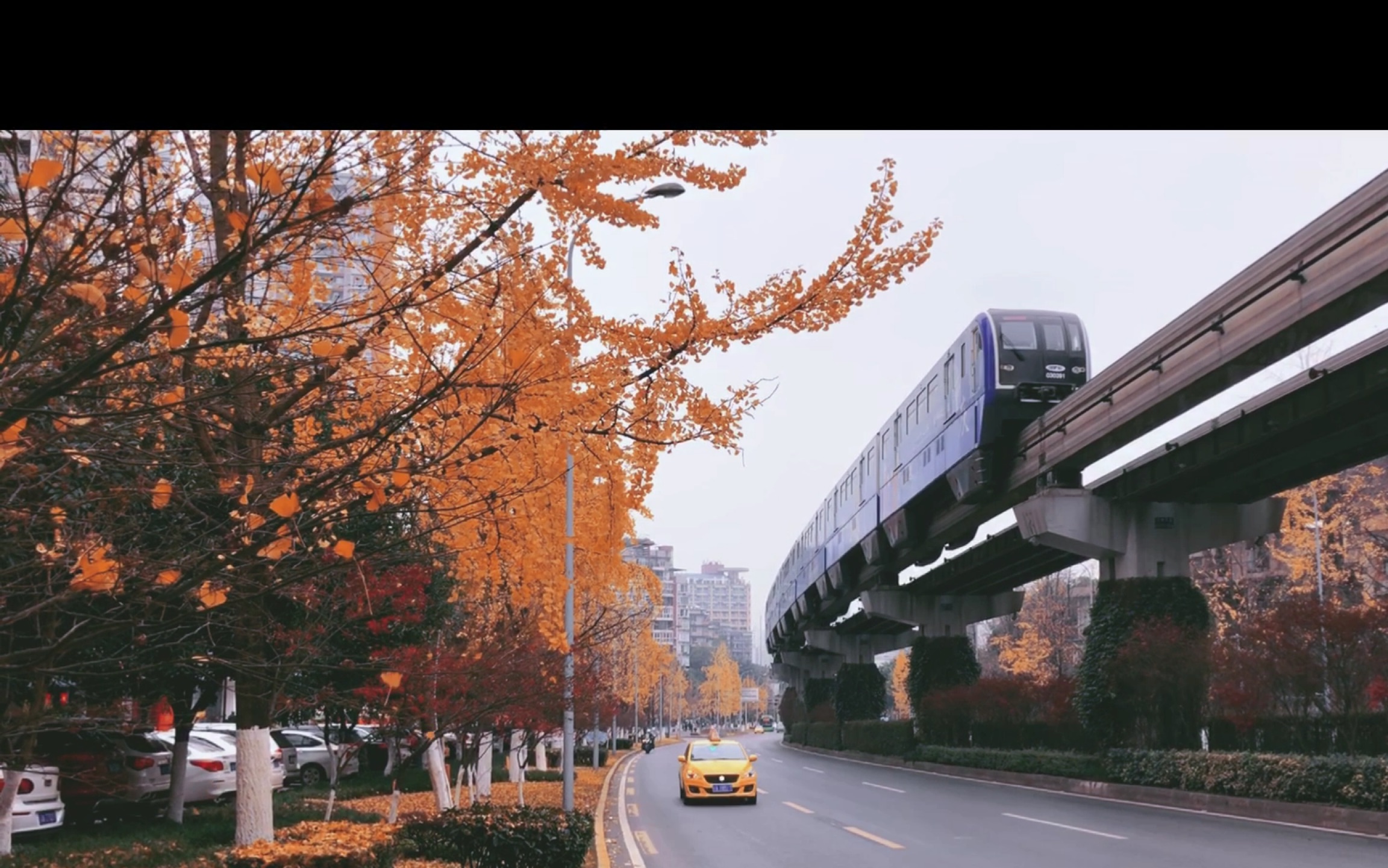 秋天到了,如何只需一部手机拍出唯美短视频?