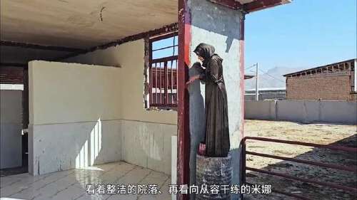 米娜购置挤奶室铁门,打扫会议室卫生,米娜为开会做好准备(8)