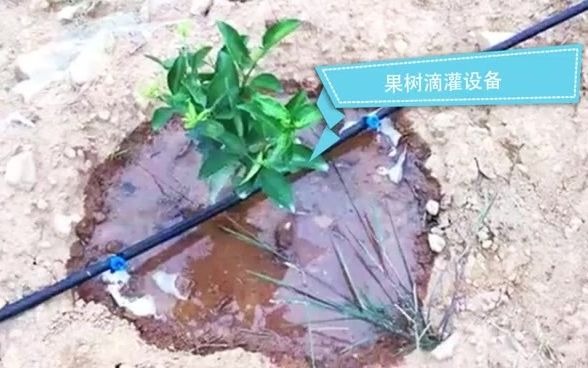 ...自动过滤器,滴箭设备,果树小管出流,pe水带,滴灌带.灌溉PE管,大田喷灌