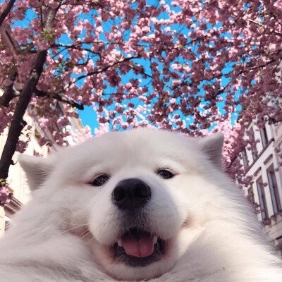 冲浪一线人员 