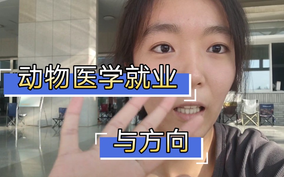 动物医学就业与方向